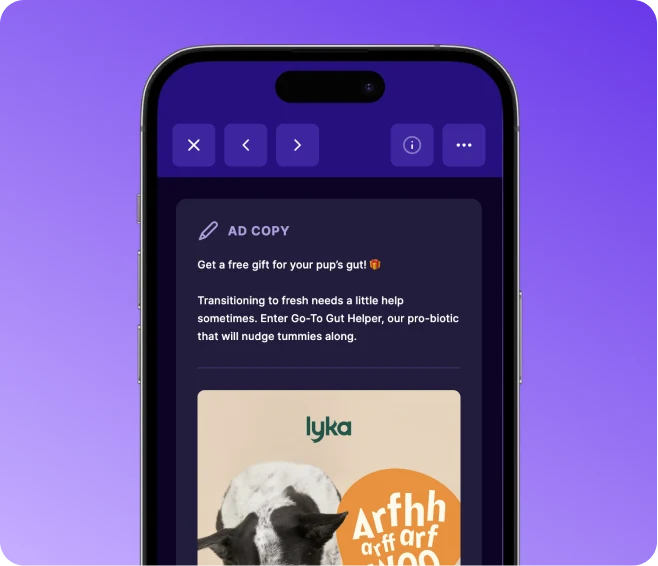 All Features - MagicBrief